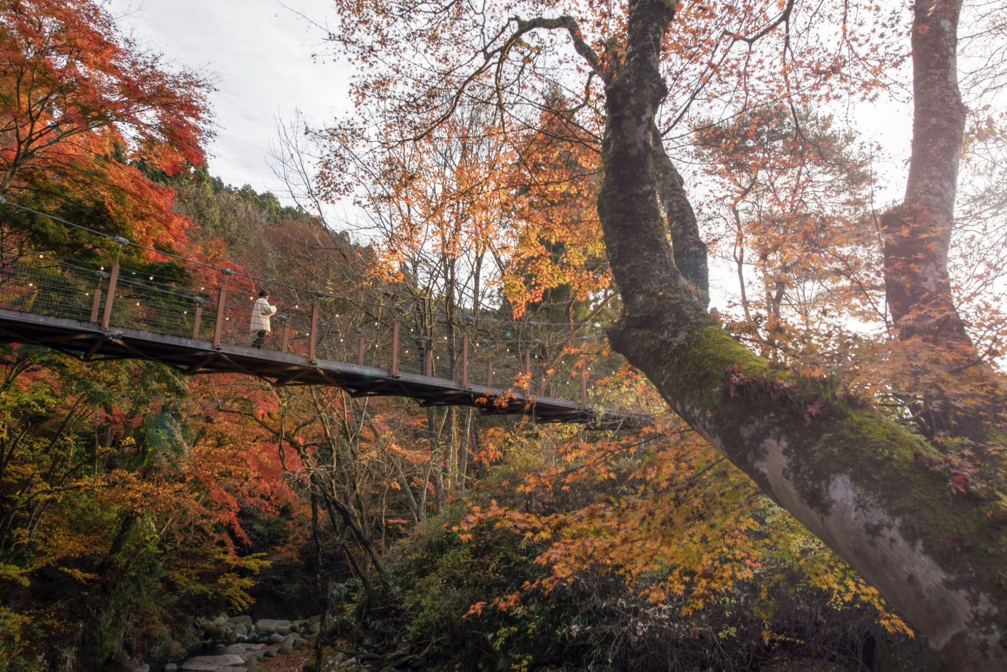 【関東】サウナのあるグランピング施設8選！プライベートサウナも！ | グランピング / コテージ / 貸別荘の検索・比較サイト【GLAMPICKS】